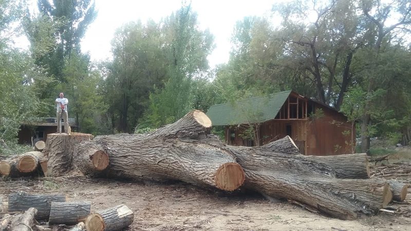 Lumber Milling - Campbell's Tree & Stump Service, LLC